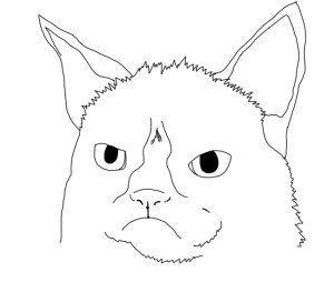 Drawing Tutorial: Learn To Draw Grumpy Cat, AKA Tardar Sauce