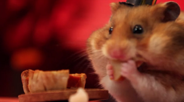Tiny Hamster Stuffs His Mouth With Pumpkin Pie and Turkey