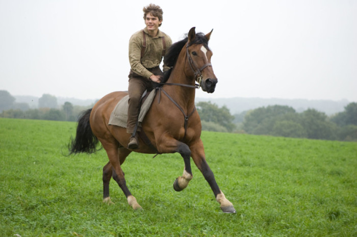 Iconic Horses from Movies Ranked