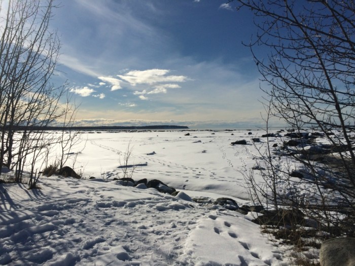 First-Hand Experience of Travelling to Alaska Alone