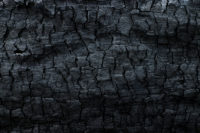 What Favorite Color Reveals About Your Personality