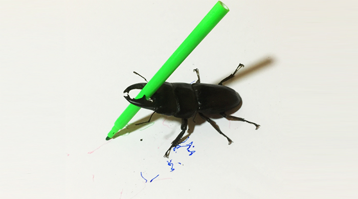 Spike the Stag Beetle Is an Artist, and Is Selling His Work