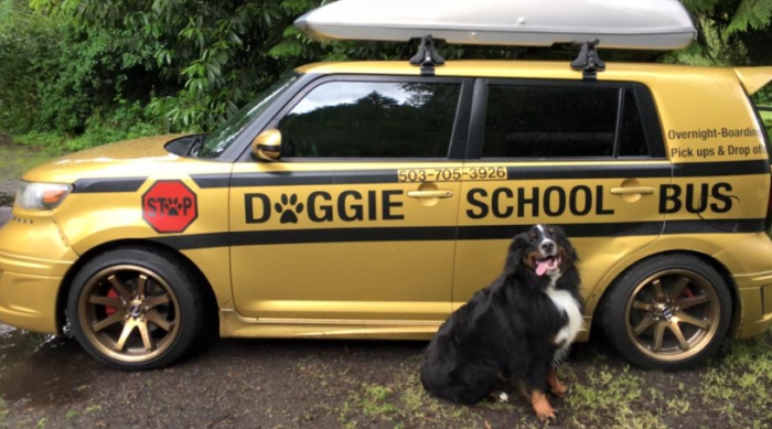 Dog Can't Wait to Head to Class on His Doggie School Bus
