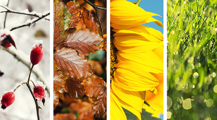 Take This Quiz and We'll Guess Your Favorite Month