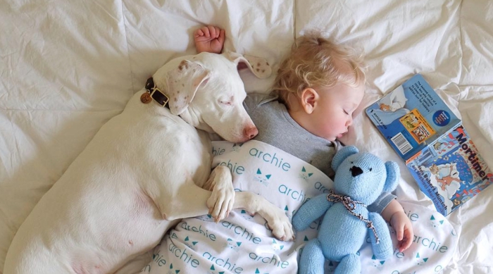Adopted Dog Develops Special Bond With a Baby