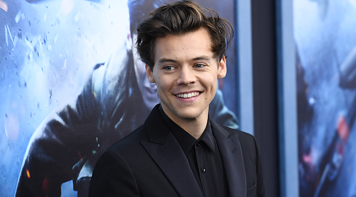 Harry Styles Lyrics That Make the Best Instagram Captions