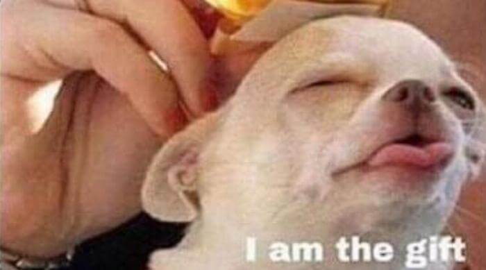 Memes About Christmas Presents That Are Just Too True