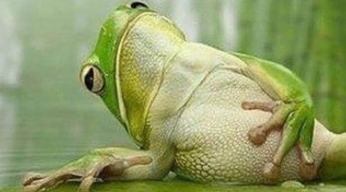 Relatable Thanksgiving Food Coma Memes About Eating Too Much