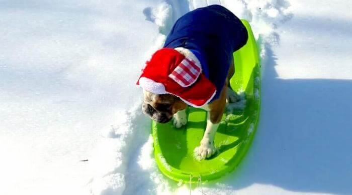 Wintery Instagram Captions for All of Your Sledding Photos