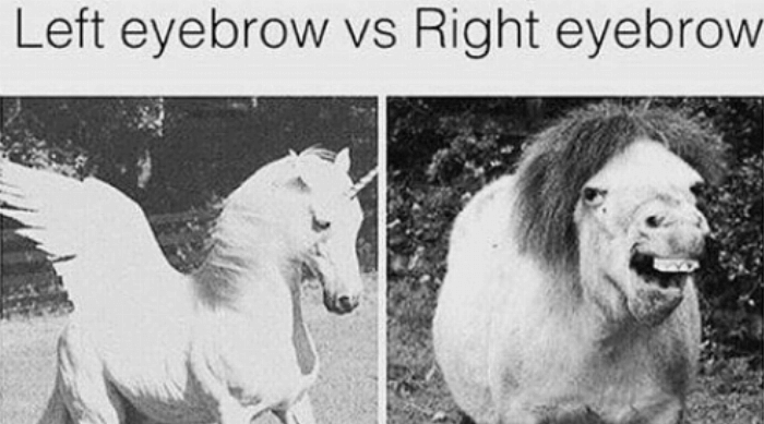 Memes for Anyone Who's Seriously Obsessed With Eyebrows