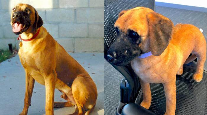 Cuddle Clones Pet Plush Replica Process and Review