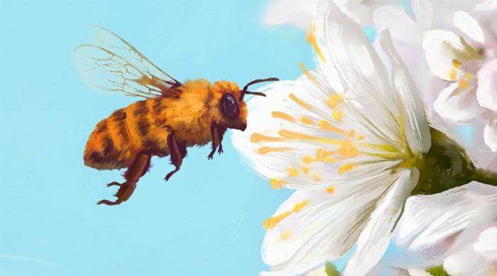 Review of Bee Simulator Game on Nintendo Switch