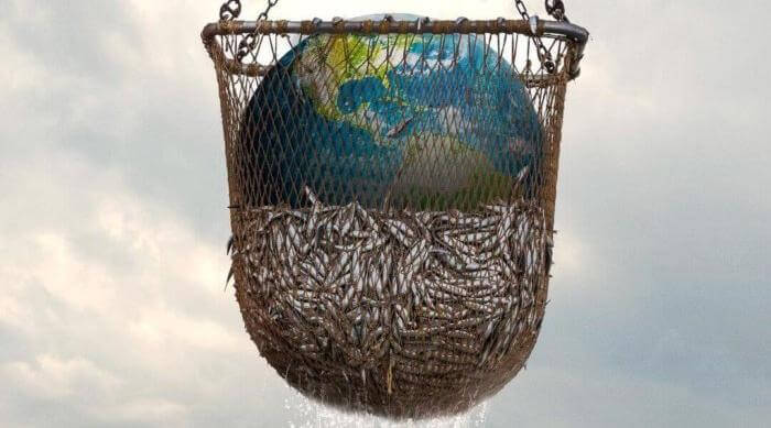 5 Takeaways from Netflix's New Documentary: Seaspiracy