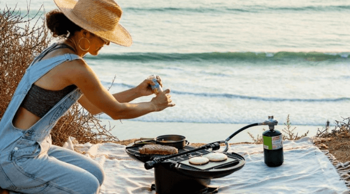 Review of nomadiQ Portable Grill + How to Use