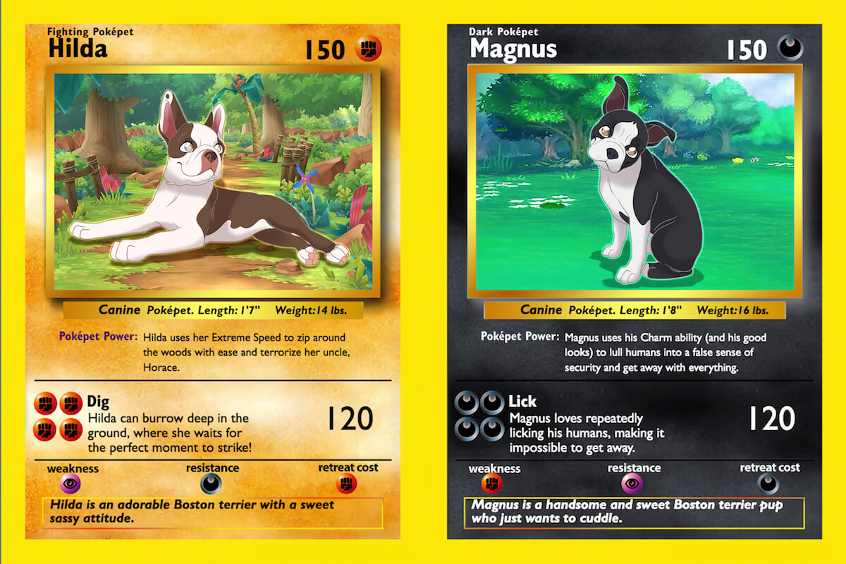Poke Pet Shop Puts YOUR Pets On Custom Pok mon Style Cards Poke Pet Shop Puts YOUR Pets On Custom Pok mon Style Cards