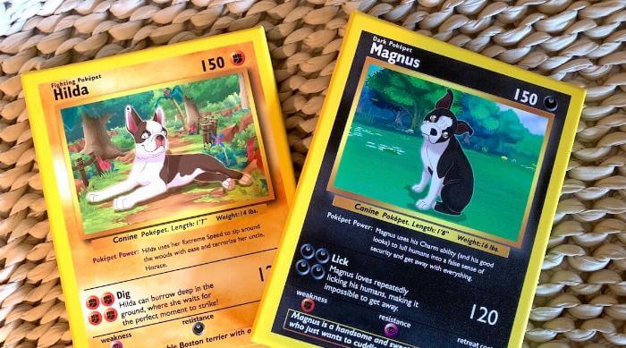 Poke Pet Shop Puts YOUR Pets on Custom Pokémon-Style Cards