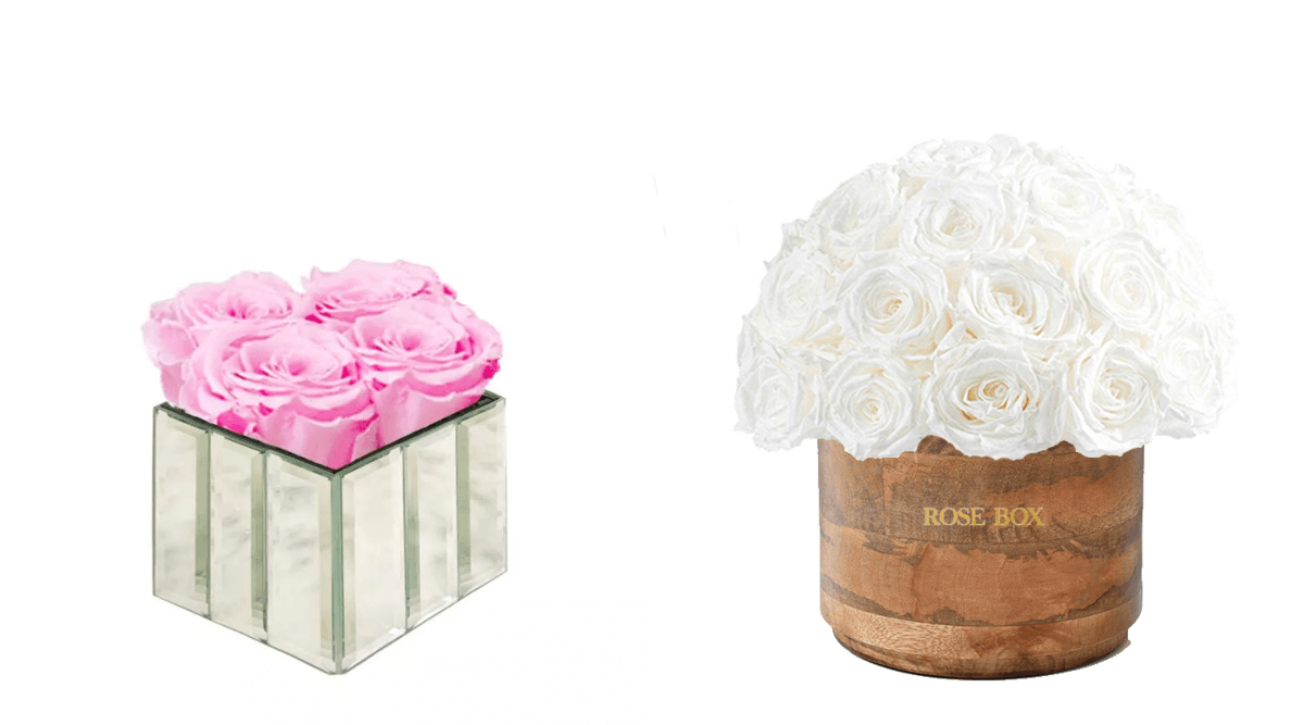 Rose Box NYC Has THE Best Holiday Gifts