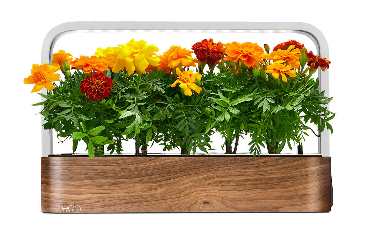 Our Favorite House Plant Products of 2024