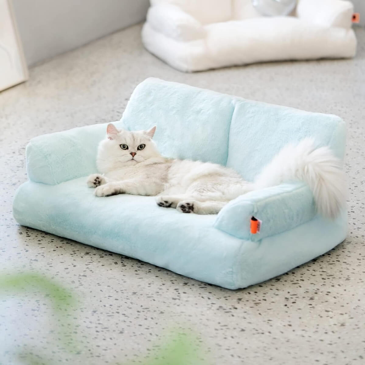 The Most Adorable Cat Gifts for National Kitten Day
