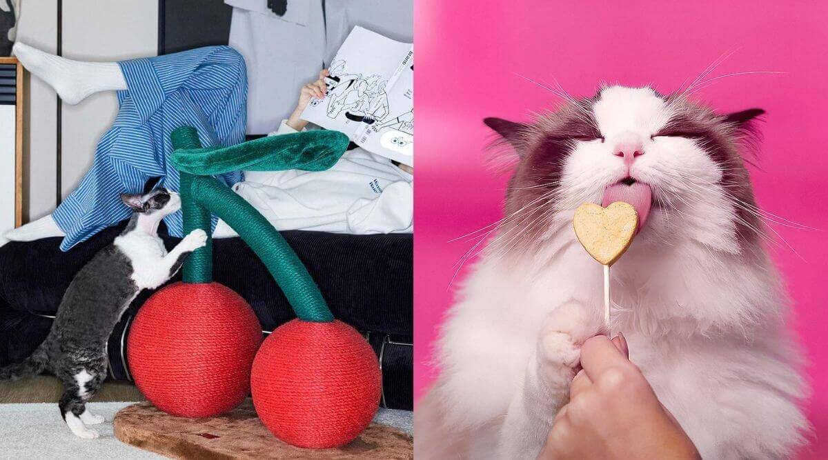 The Most Adorable Cat Gifts for National Kitten Day