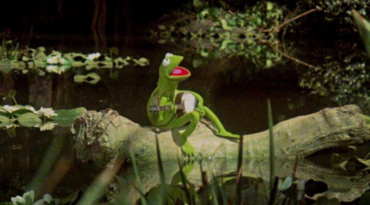 The Best Kermit the Frog Funny Quotes as Instagram Captions