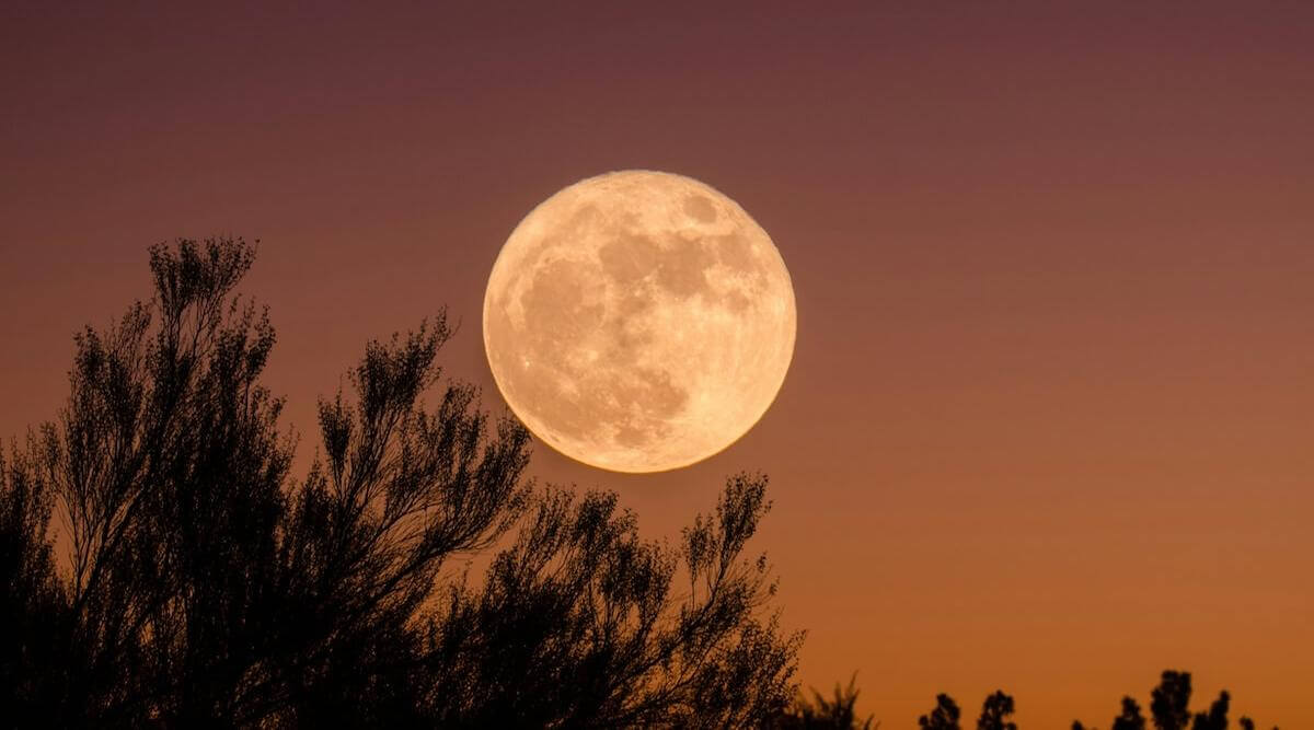 The Best Instagram Captions for All Your Full Moon Posts