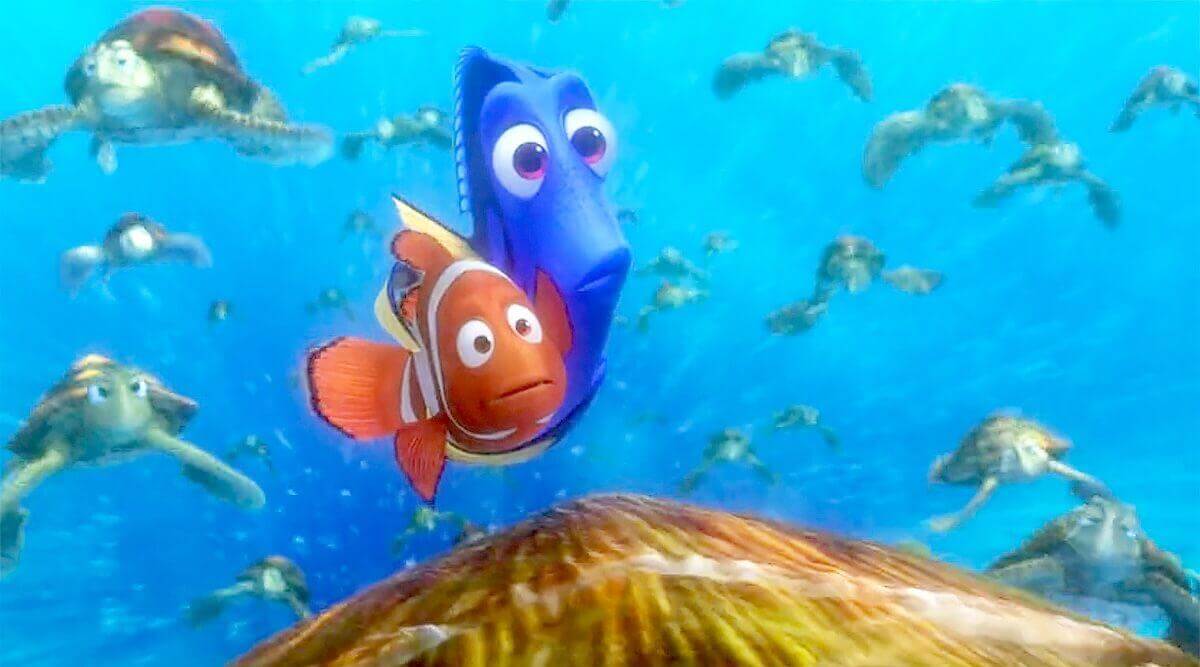 Marlin From Nemo Quotes