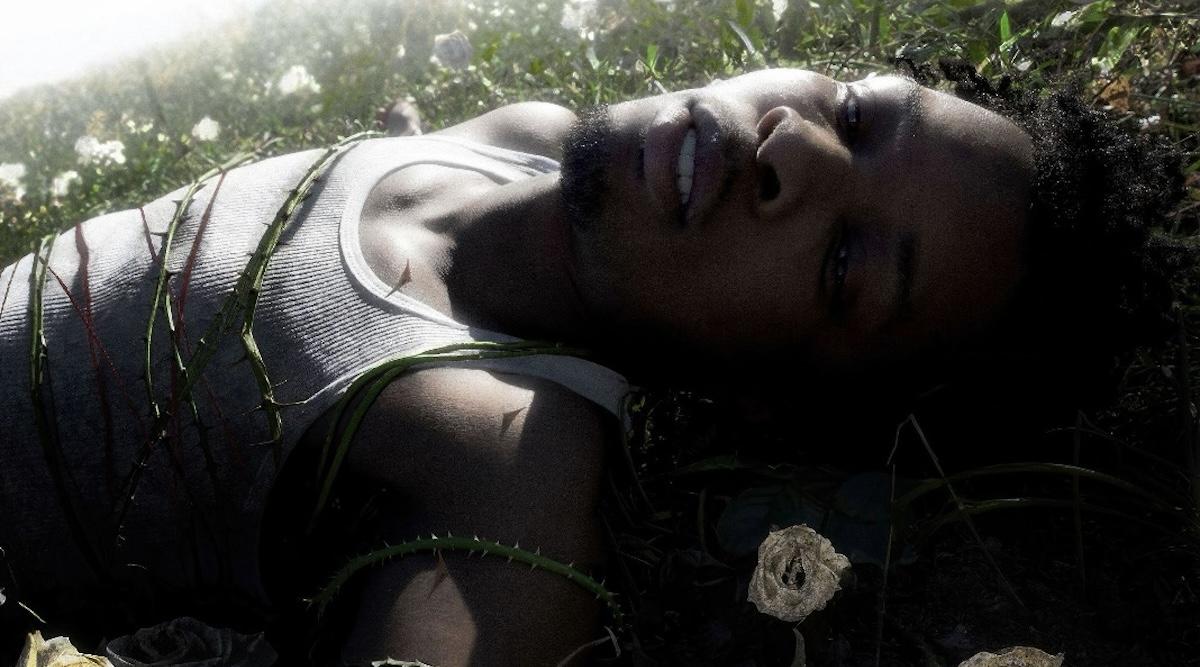 The Best Emotional Lyrics From d4vd's WITHERED as Captions