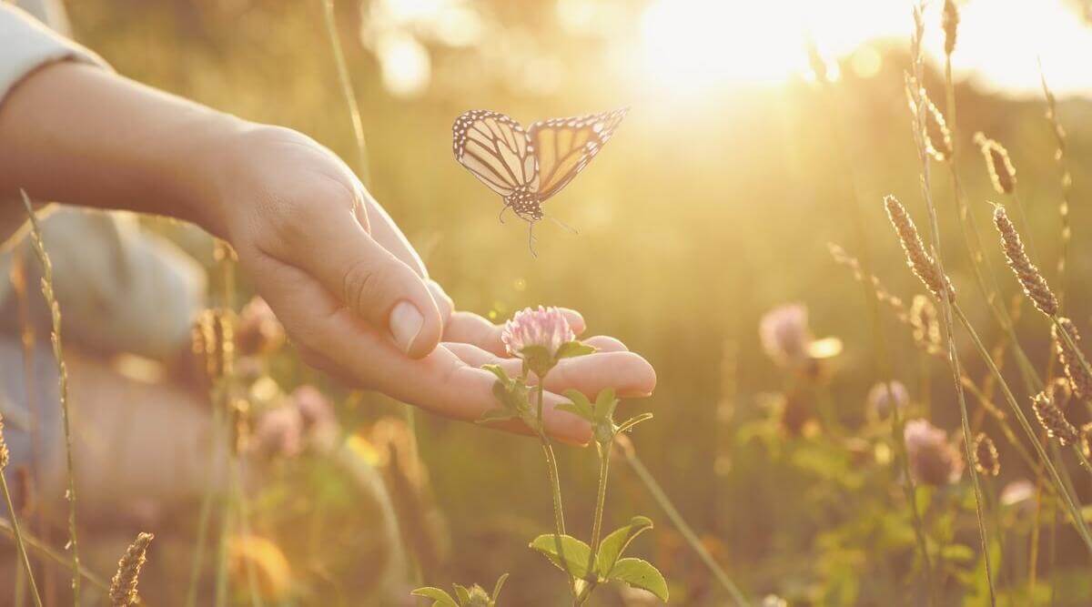 The Best Bug Captions for Your Spring Instagram Photo